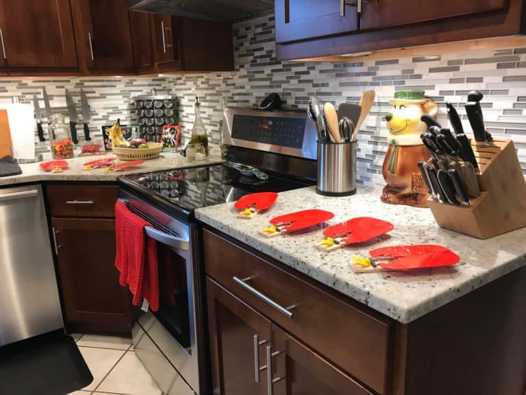 Snappy Trainer Review: A Safe, Inexpensive Training Product - Acme Canine