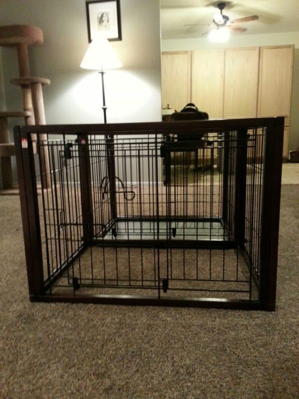 How to Choose Indoor Dog Kennels for Your Home - Acme Canine