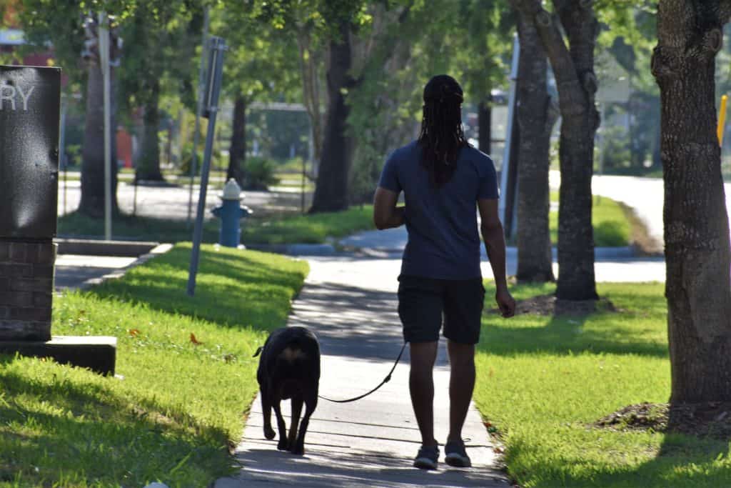 Training A Dog To Track — A Slow And Methodical Process