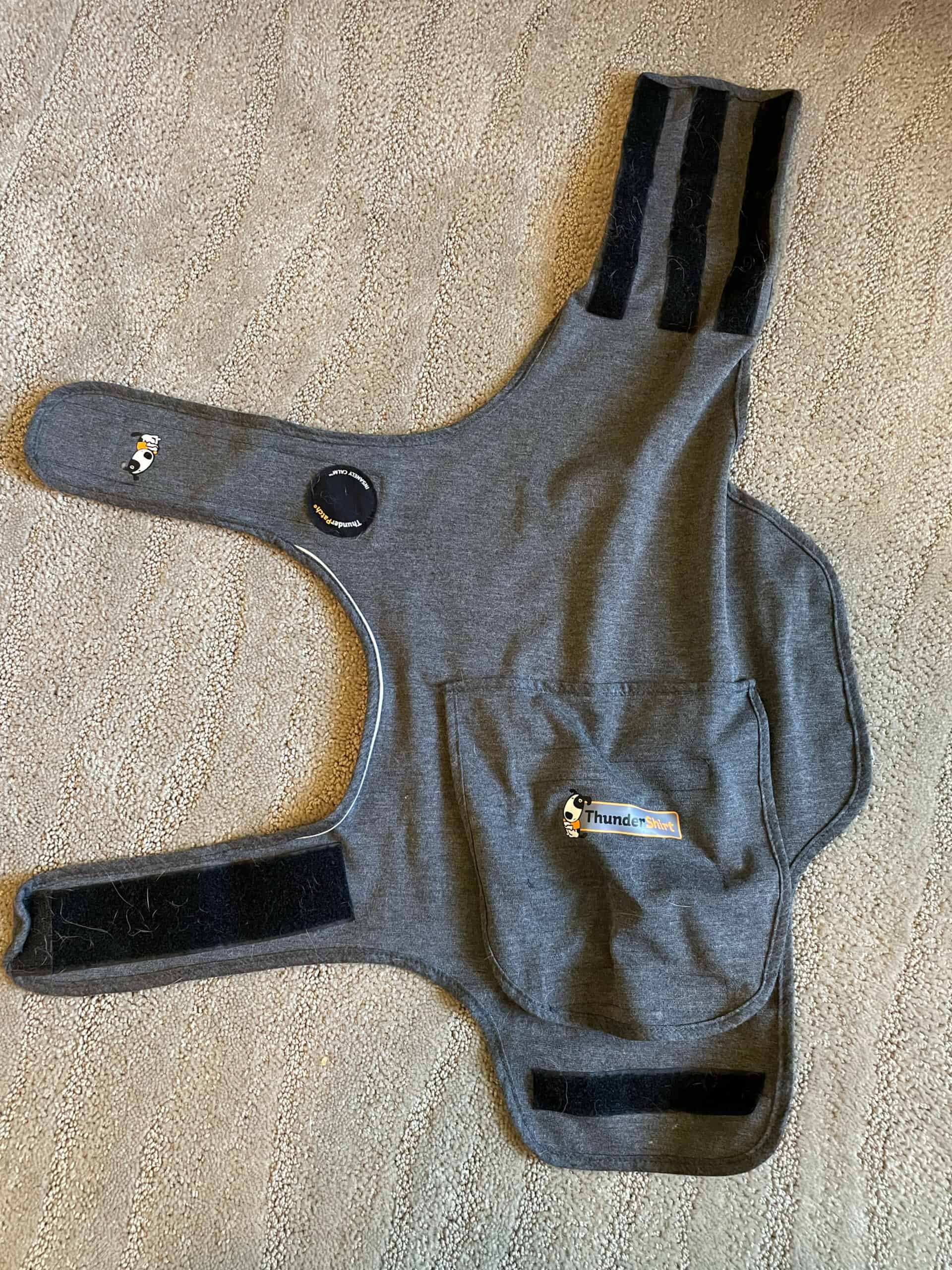 We Tried ThunderShirts, Here's What Happened