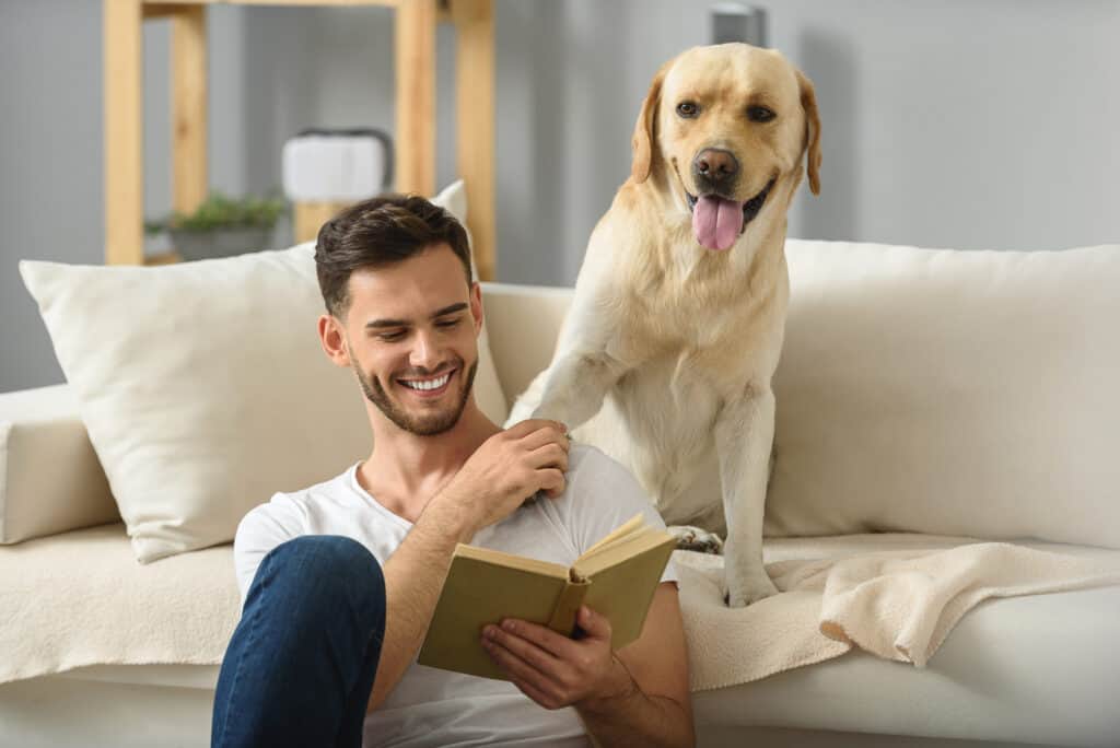 The Challenges And Rewards Of Living With Dogs Indoors - Acme Canine